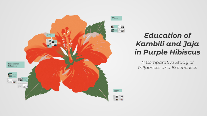 Education of Kambili and Jaja in Purple Hibiscus by Lara Borba on Prezi