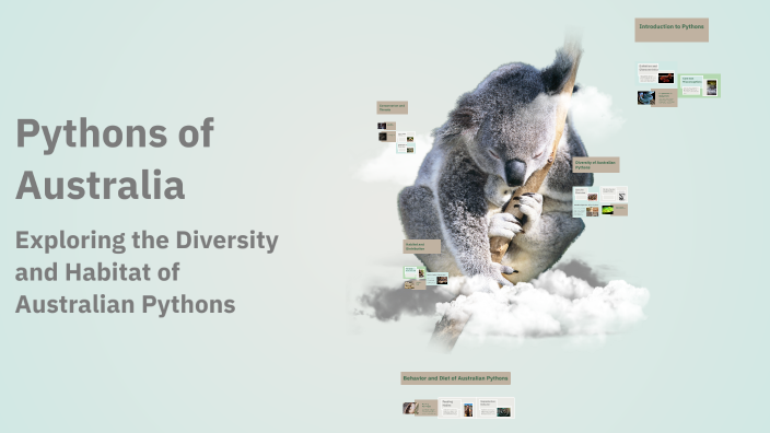 Pythons of Australia by Test User on Prezi