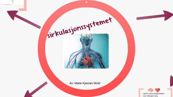 sirkulasjonssystemet by Marte Kjøsnes Wold on Prezi
