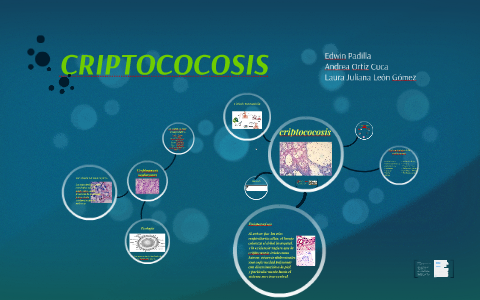 CRIPTOCOCOSIS by on Prezi