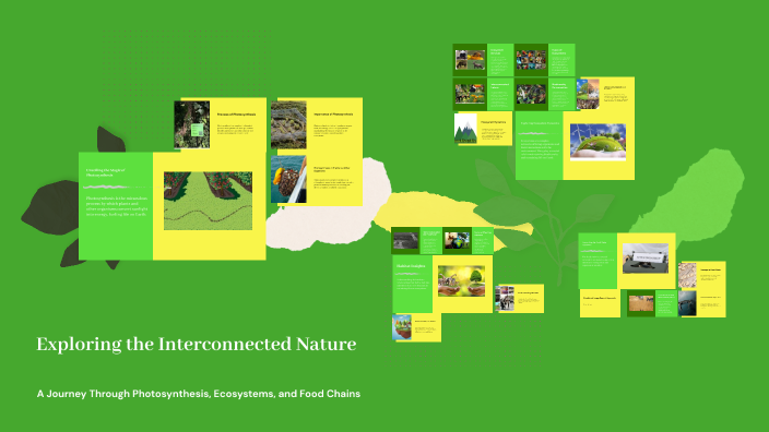 Exploring the Interconnected Nature by vivaan goenka on Prezi