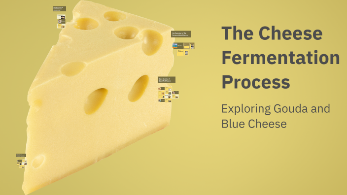 The Cheese Fermentation Process by Rafael Gonsalez on Prezi