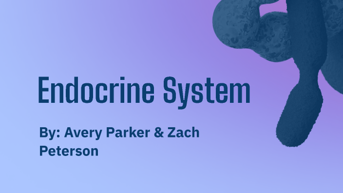 Endocrine System Project by Avery Parker on Prezi