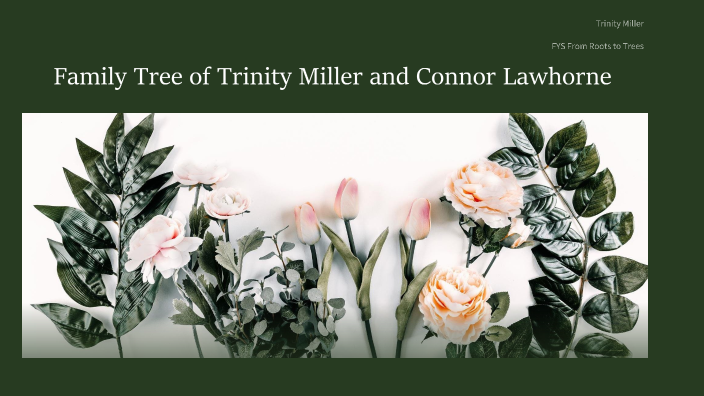 Family Tree - Trinity Miller by Trinity Miller on Prezi