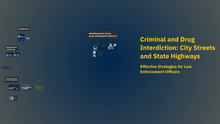 Criminal and Drug Interdiction: City Streets and State Highways by ...