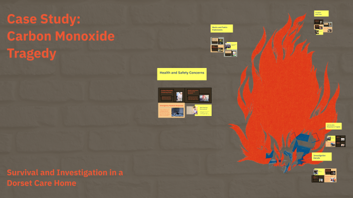 Case Study: Carbon Monoxide Tragedy by prachi singh on Prezi