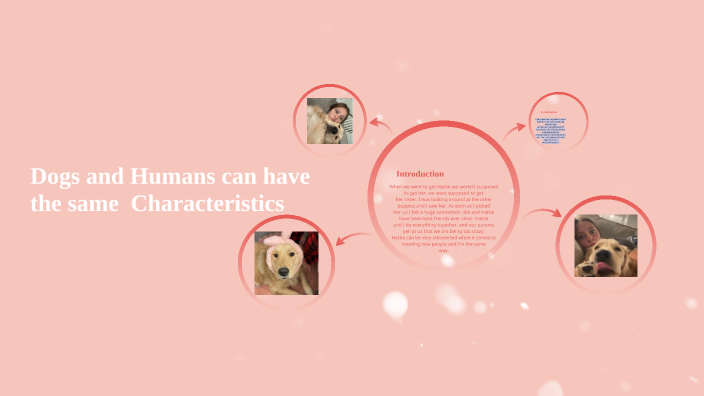 Dogs and Humans Can Have the same Characteristics by Lily Farrell on Prezi