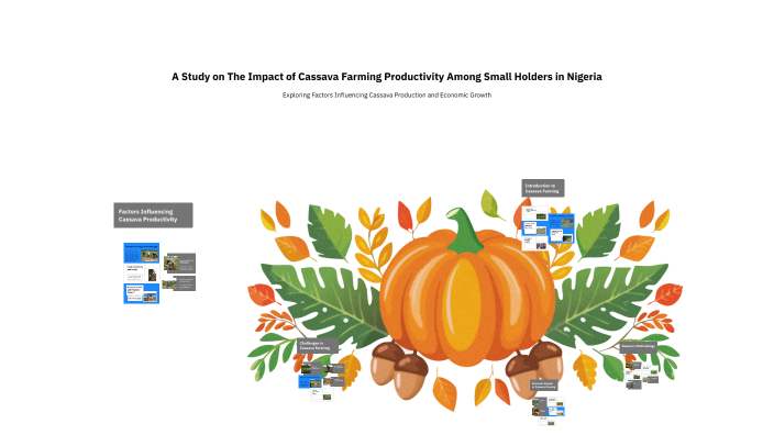 A Study on The Impact of Cassava Farming Productivity Among Small ...
