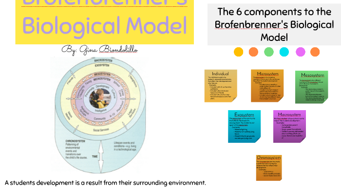 Brofenbrenner's by Gina Biondolillo on Prezi