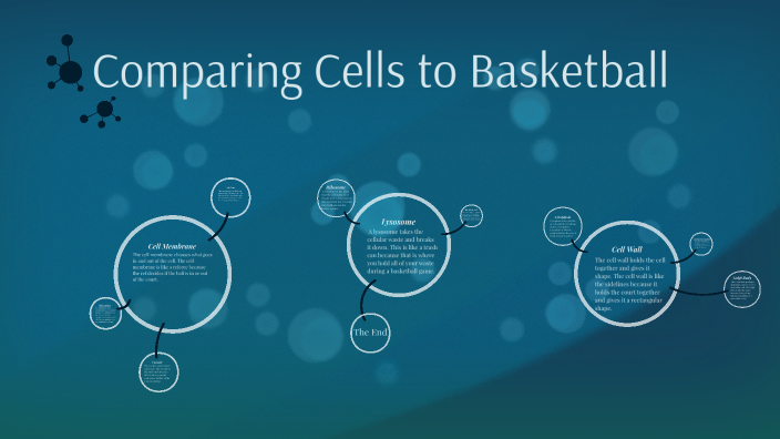 Comparing Cells to Basketball by Laurel Belby on Prezi