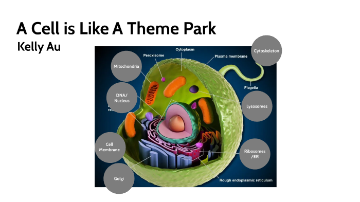 A Cell is Like a Theme Park by Kelly Au on Prezi