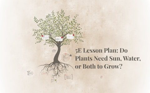5E Lesson Plan: Do Plants Need Sun, Water, or Both to Grow? by Carolyn ...