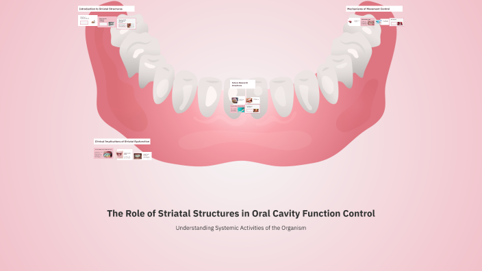 The Role of Striatal Structures in Oral Cavity Function Control by ...