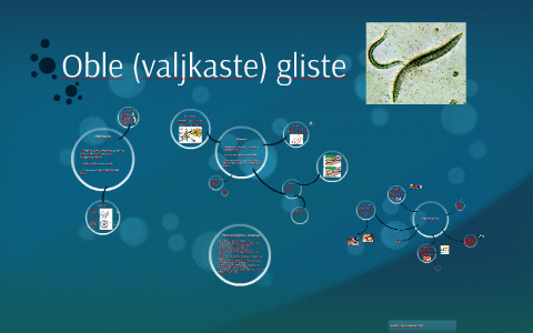 Oble (valjkaste) gliste by Nejra Djulancic on Prezi