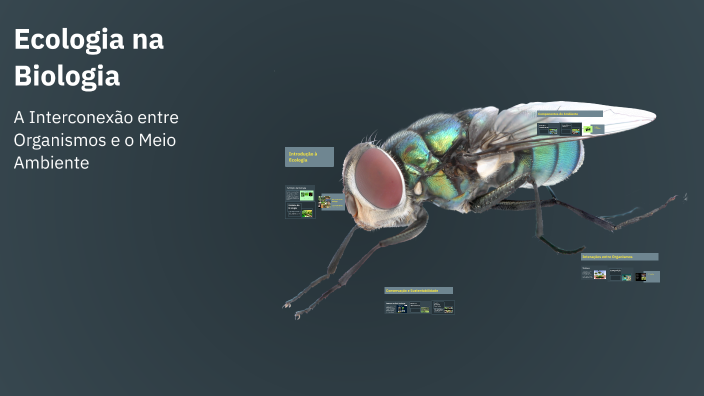 Ecologia na Biologia by Bianca Nabily on Prezi