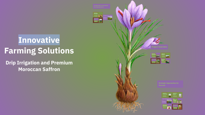 Innovative Farming Solutions by mohamed akhrazne on Prezi
