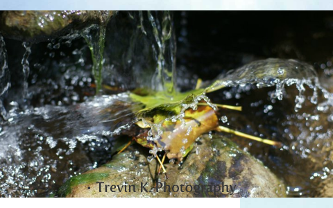 My Summer by Trevin Kelly on Prezi