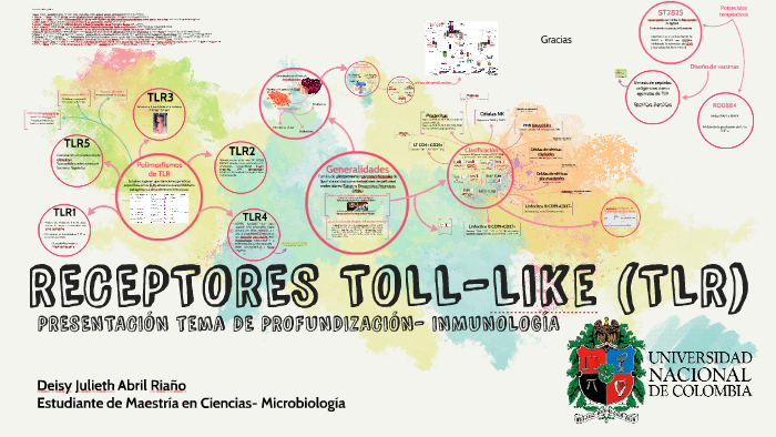 RECEPTORES TOLL-Like (TLR) by Deisy Abril` on Prezi