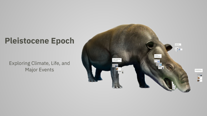 Understanding the Pleistocene Epoch by Dean Buntley on Prezi
