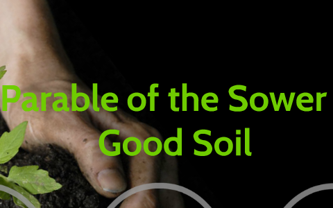 Parable of the Sower - Good Soil by Natalia Zab on Prezi