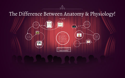 The Difference Between Anatomy & Physiology! by Alicia Jimenez on Prezi