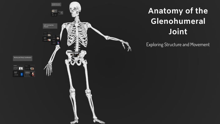 Anatomy of the Glenohumeral Joint by Martha Mary Jane on Prezi