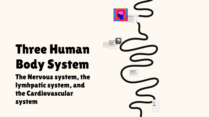 Three human body systems by Kennedee Wilson on Prezi