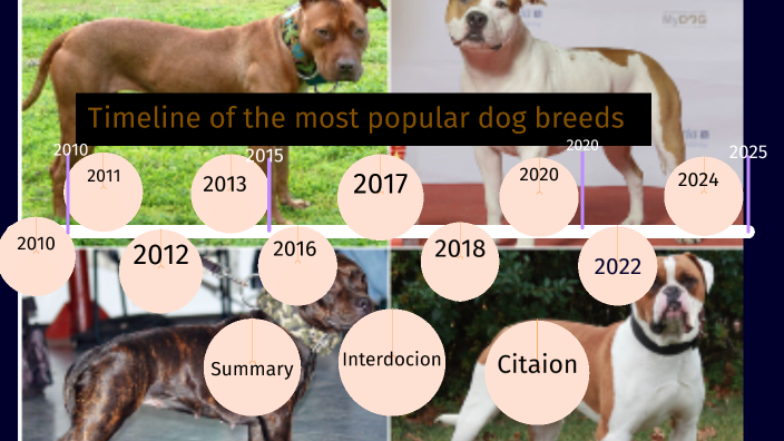 IM Timeline of most popular dog breeds by Iyla Messer on Prezi