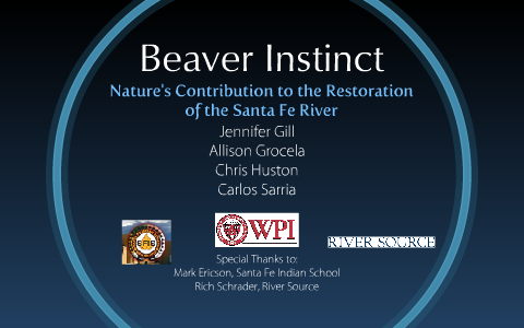 Beaver Instinct by Jennifer Gill on Prezi
