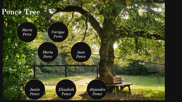 Family tree by justin ponce on Prezi