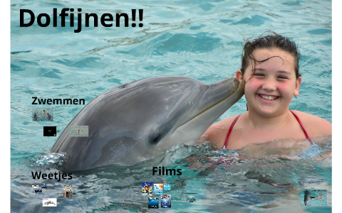 Spreekbeurt Dolfijnen by Mathilde Steenbeek on Prezi