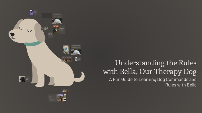 Understanding the Rules with Bella, Our Therapy Dog by Lindsey Calvert ...