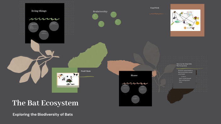 The Bat Ecosystem by Zoeanna Schuh on Prezi
