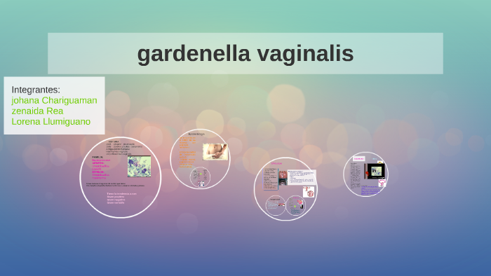 FAMILIA: Bacteroidaceae by johana chariguaman