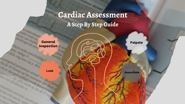 Cardiac Assessment A Step By Step Guide by Rebecca Moore on Prezi