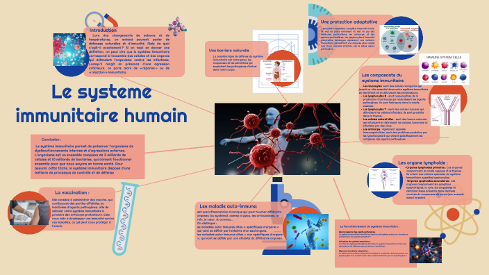 Le système immunitaire humaine by Imen hm on Prezi