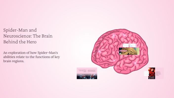 Spider-Man and Neuroscience: The Brain Behind the Hero by Gavin Wise on ...