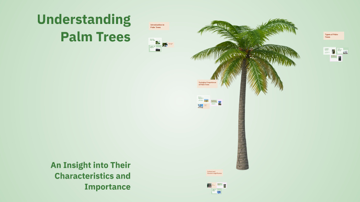 Understanding Palm Trees by MAYLA UNFREID on Prezi