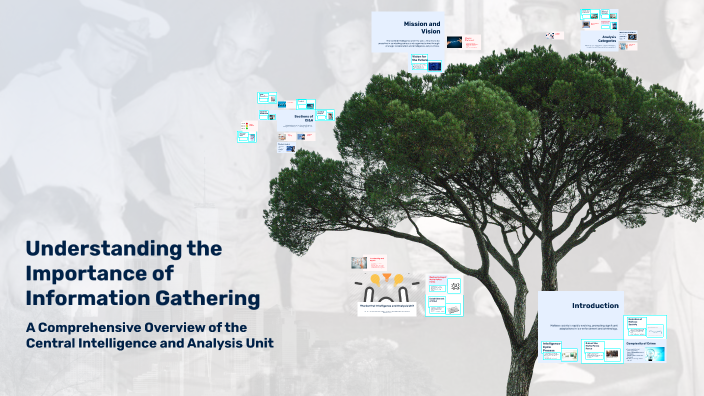 Understanding the Importance of Information Gathering by Mark Bonello ...