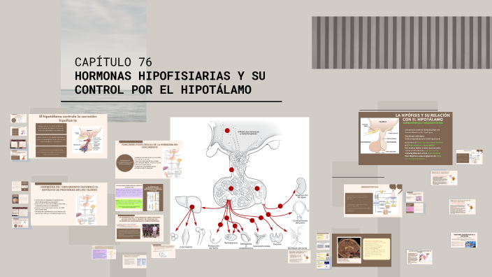 CAPÍTULO 76 HORMONAS HIPOFISIARIAS Y SU CONTROL POR EL HIPOTÁLAMO by ...