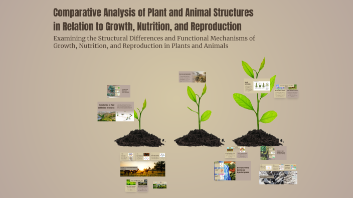 Comparative Analysis of Plant and Animal Structures in Relation to ...