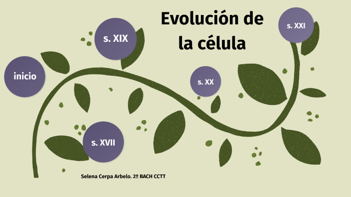 Evolución De La Célula By Selena Cerpa On Prezi