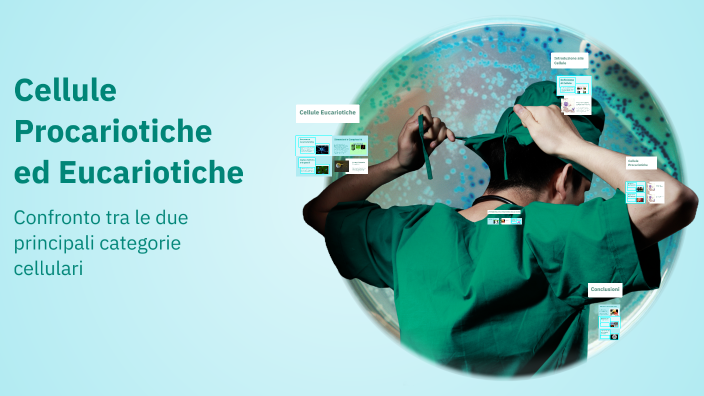 Cellule Procariotiche ed Eucariotiche by gaia notaro on Prezi