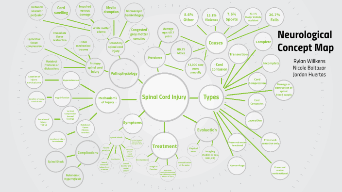 Neuro Concept Map by Rylan Willkens on Prezi