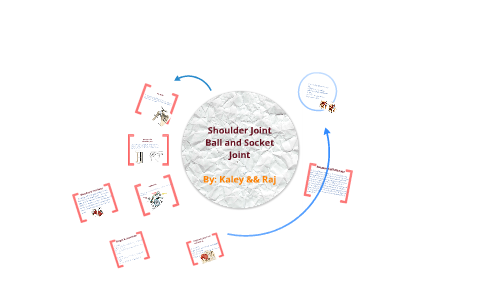 Shoulder Joint by Kaley Haarbauer on Prezi