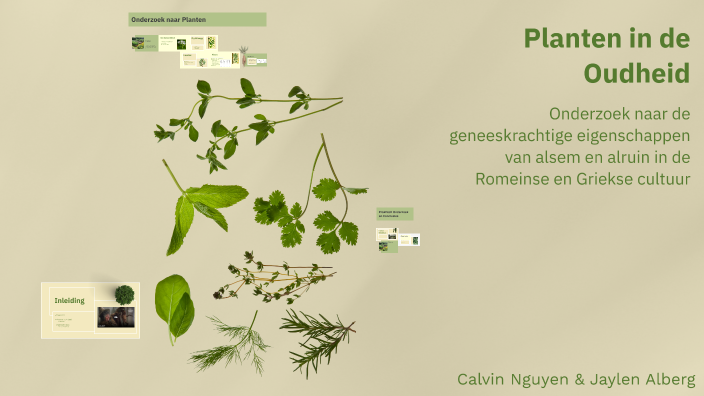 Planten in de Oudheid by dwad dwadw on Prezi