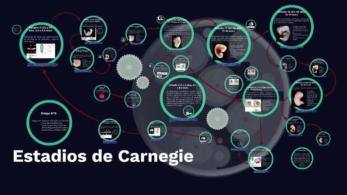 Estadios de Carnegie by Maria Jose Perez Ramirez on Prezi