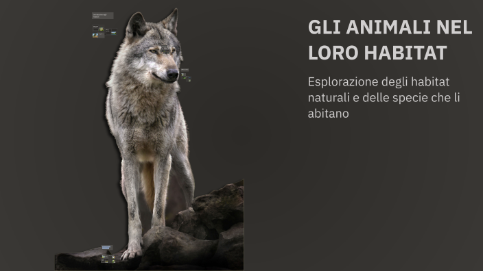 GLI ANIMALI NEL LORO HABITAT by COLACRAI SALVATORE on Prezi