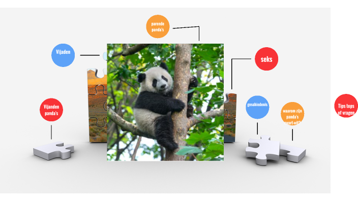 presentatie Saar by Michelle van Kempen on Prezi