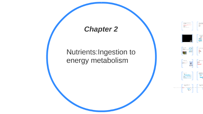 Chapter 2 Nutrition by Phillip Latimer on Prezi